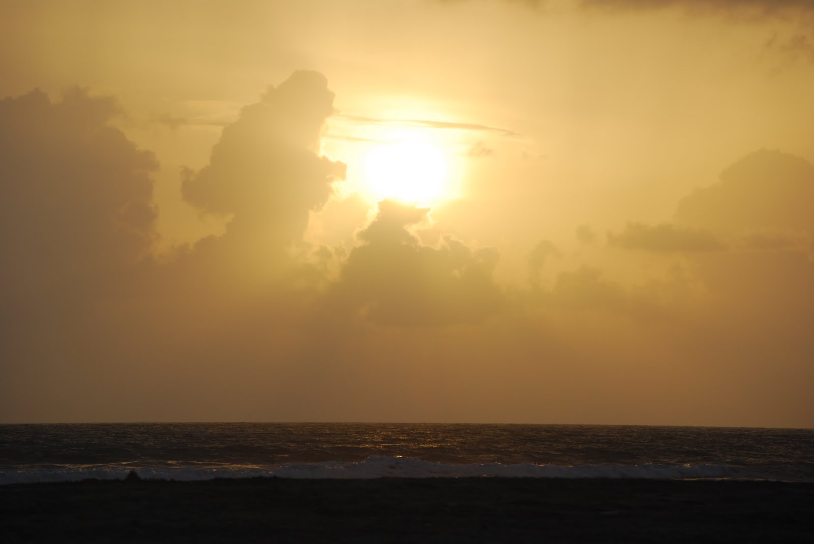 Musings by the sea shore