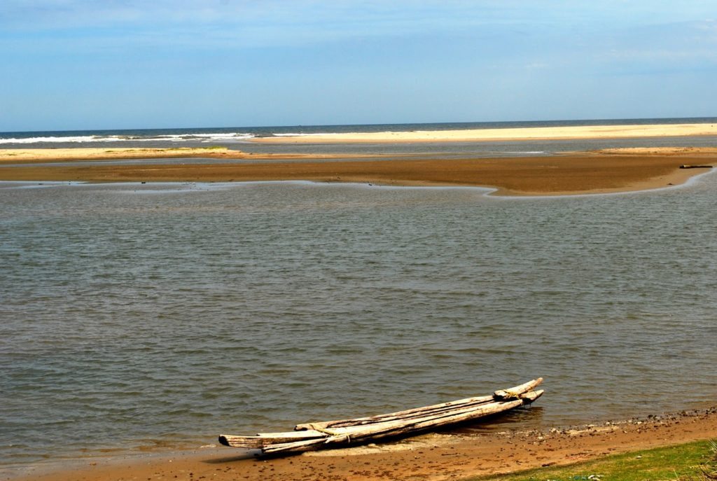 Coromandel Colonies Archives - Lakshmi Sharath