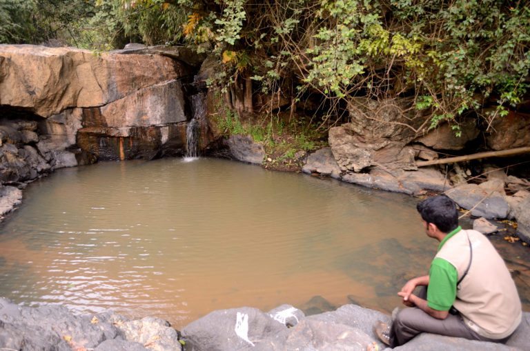 Glenlorna tea estate in Coorg