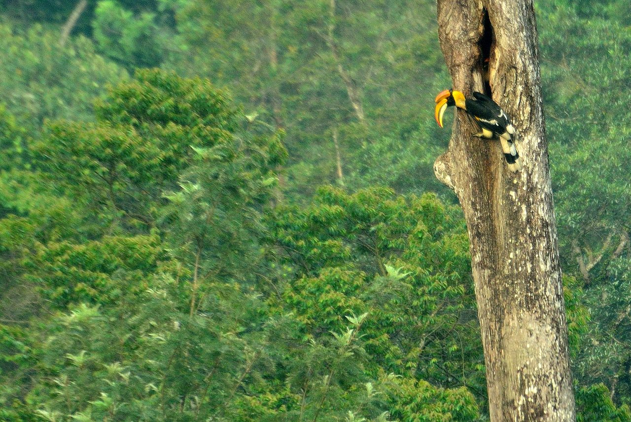 A road trip to Valparai
