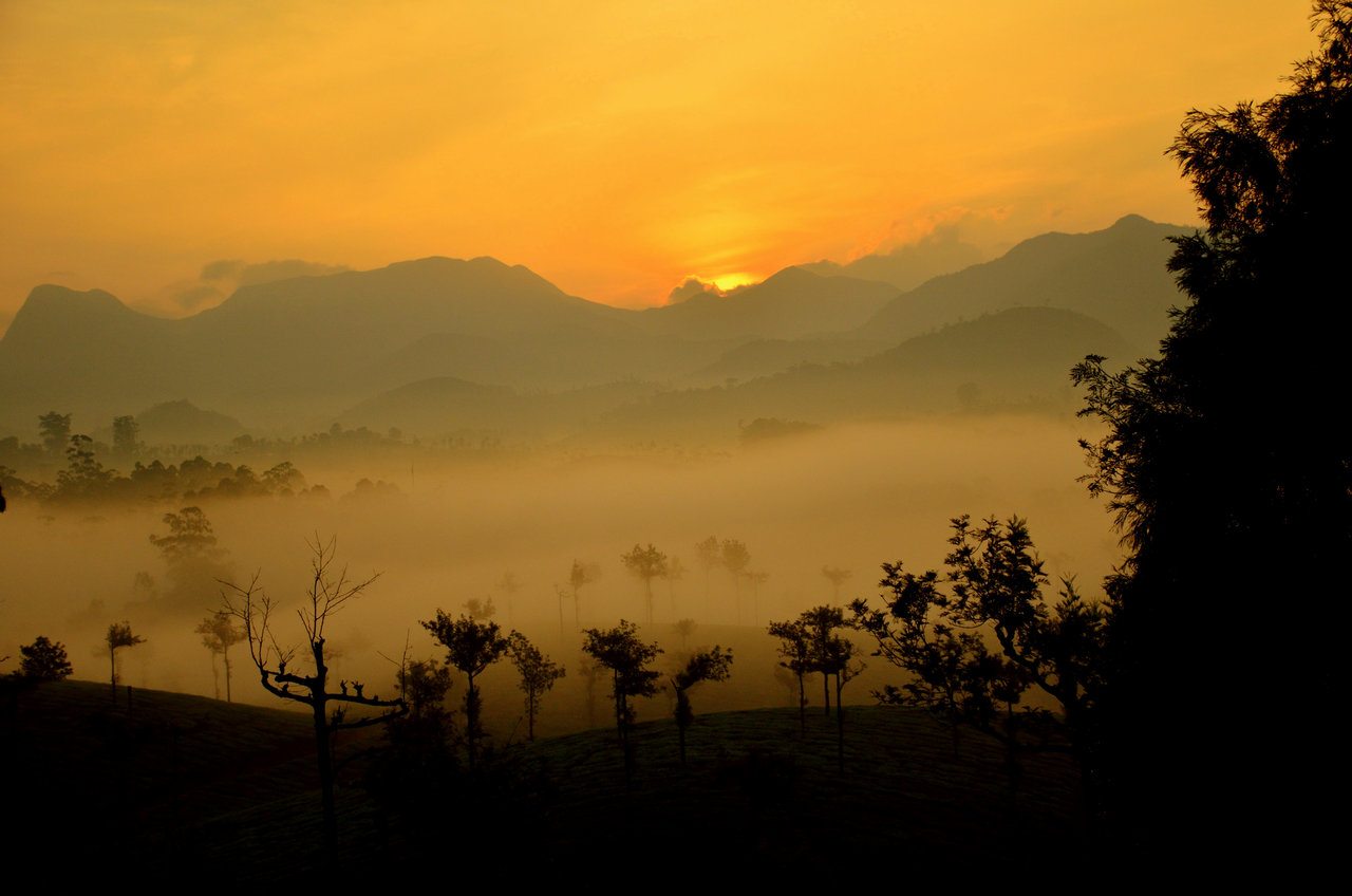 A road trip to Valparai