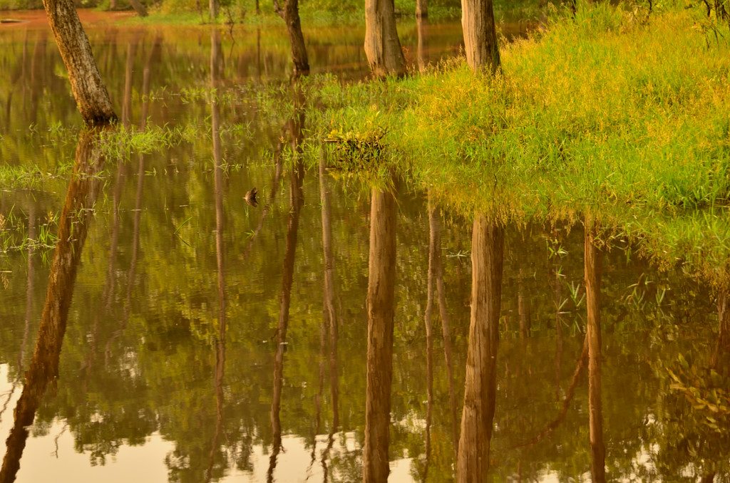 Places to visit in Madhya Pradesh