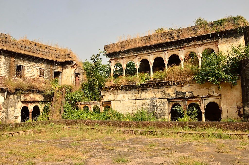 Mohan the white tiger of Rewa in Madhya Pradesh