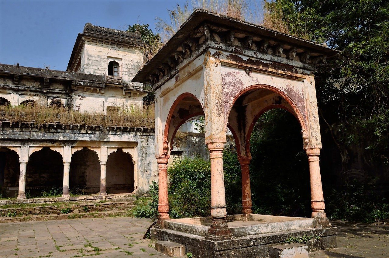 Mohan the white tiger of Rewa in Madhya Pradesh