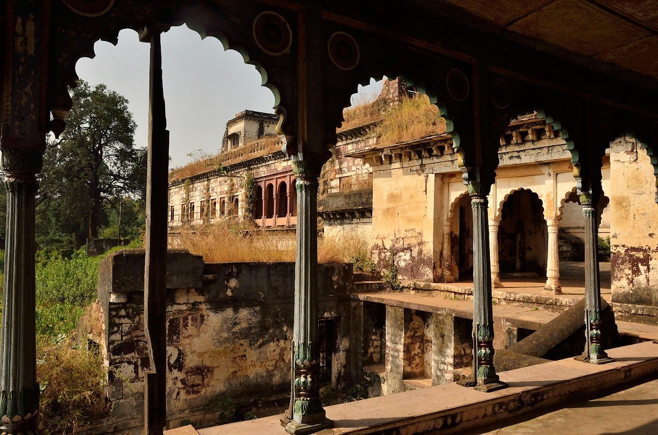 Mohan the white tiger of Rewa in Madhya Pradesh
