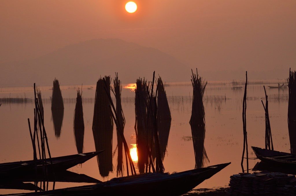 Bird watching in Mangalajodi in Chilika lake