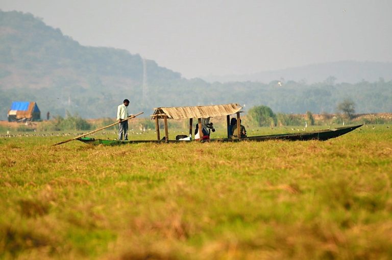 Bird watching in Mangalajodi in Chilika lake