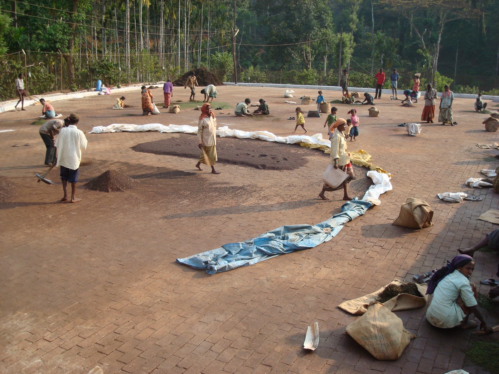 History of coffee in India - Places to see in Chikmagalur
