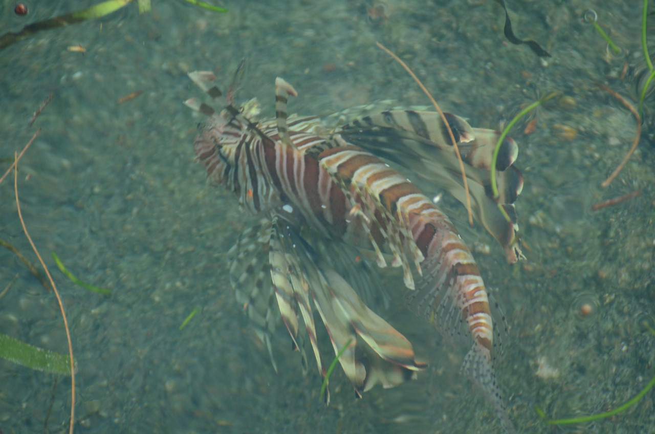 Seychelles Tourist attractions - top things to do in Seychelles