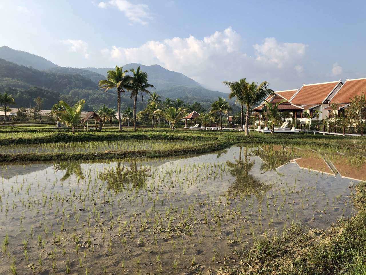 Pullman Luang Prabang- Largest luxury hotels in Luang Prabang