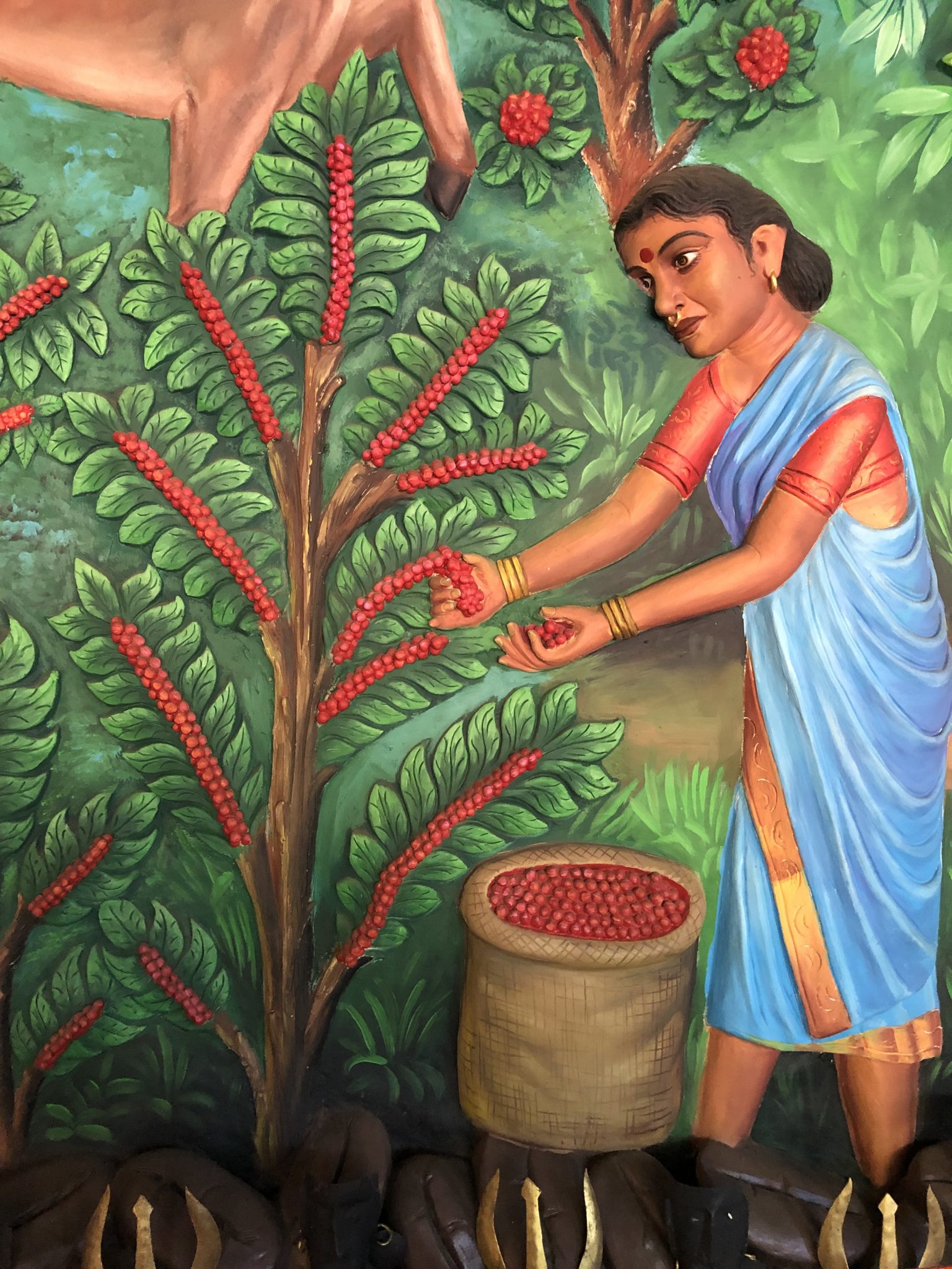 Araku Valley Coffee - Andhra Pradesh's best kept secret