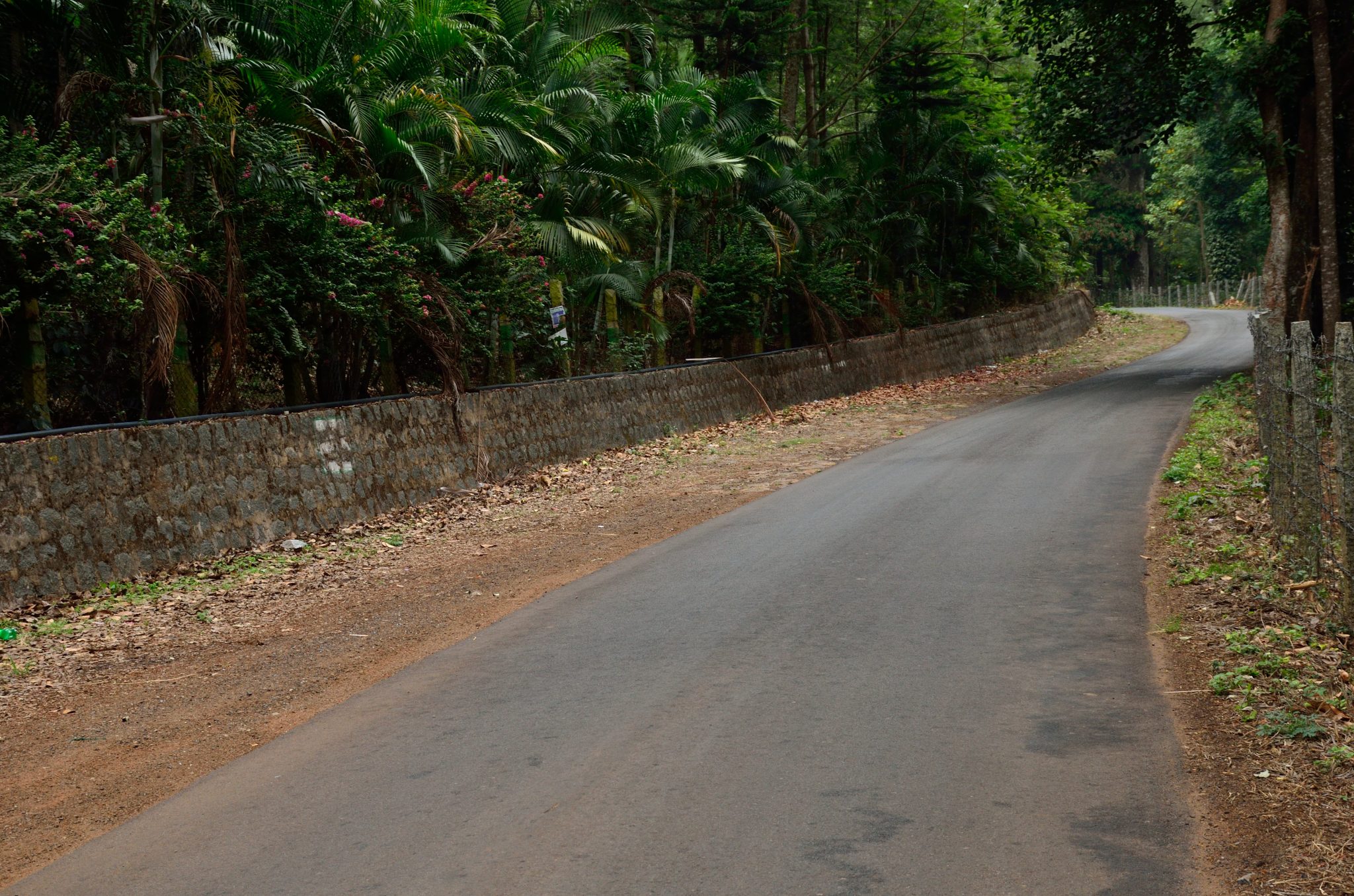 Places to see in Yercaud - Yercaud tourist attractions