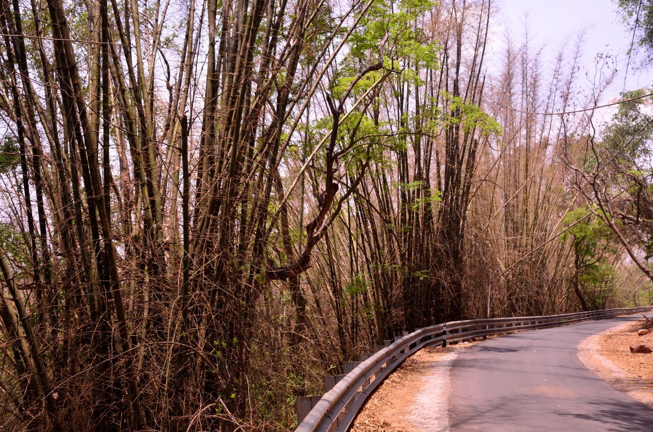 Places to see in Yercaud - Yercaud tourist attractions