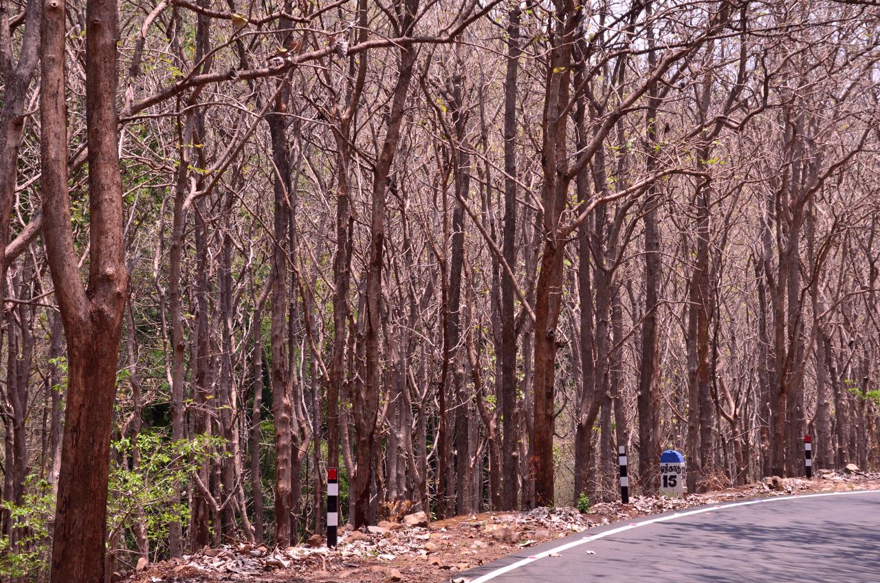 Places to see in Yercaud - Yercaud tourist attractions