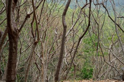 Places to see in Yercaud - Yercaud tourist attractions