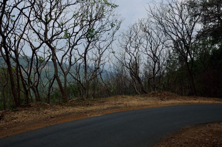 Places to see in Yercaud - Yercaud tourist attractions