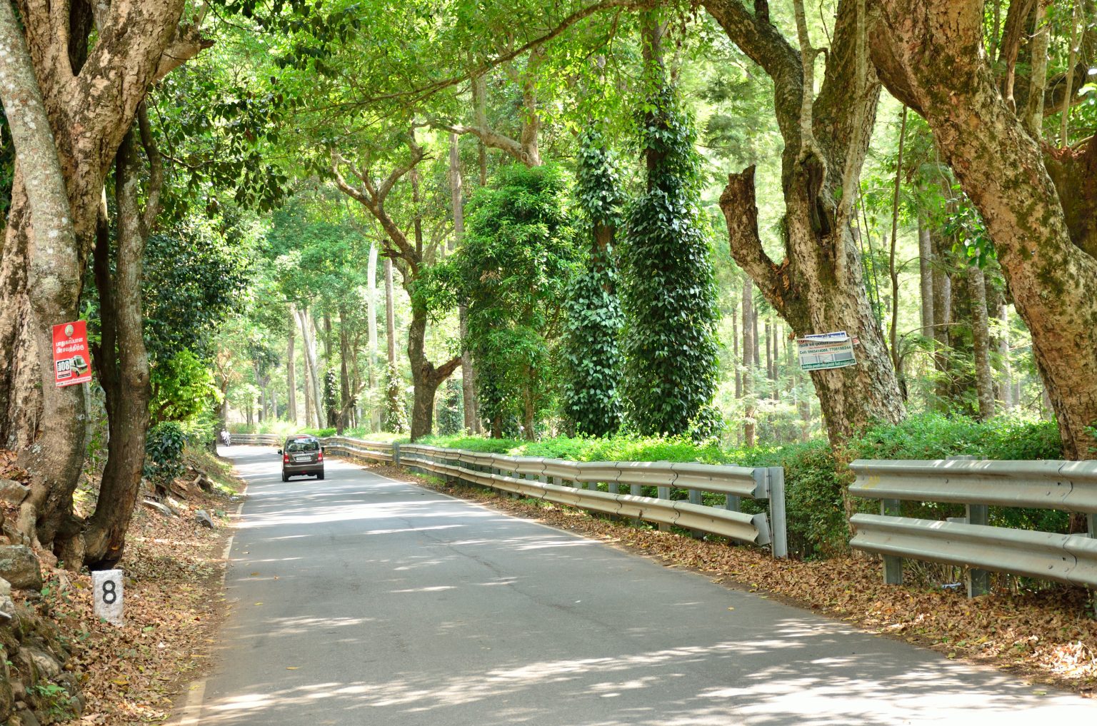 Places to see in Yercaud - Yercaud tourist attractions