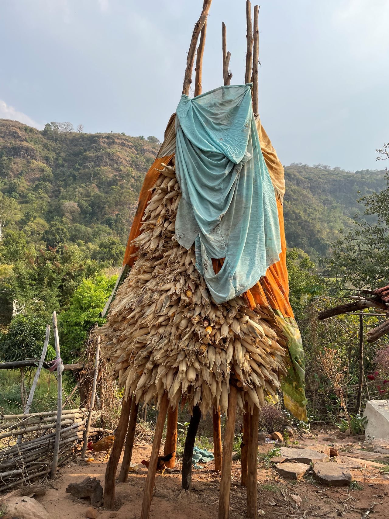 Bharia Tribes of Patalkot Valley in Madhya Pradesh