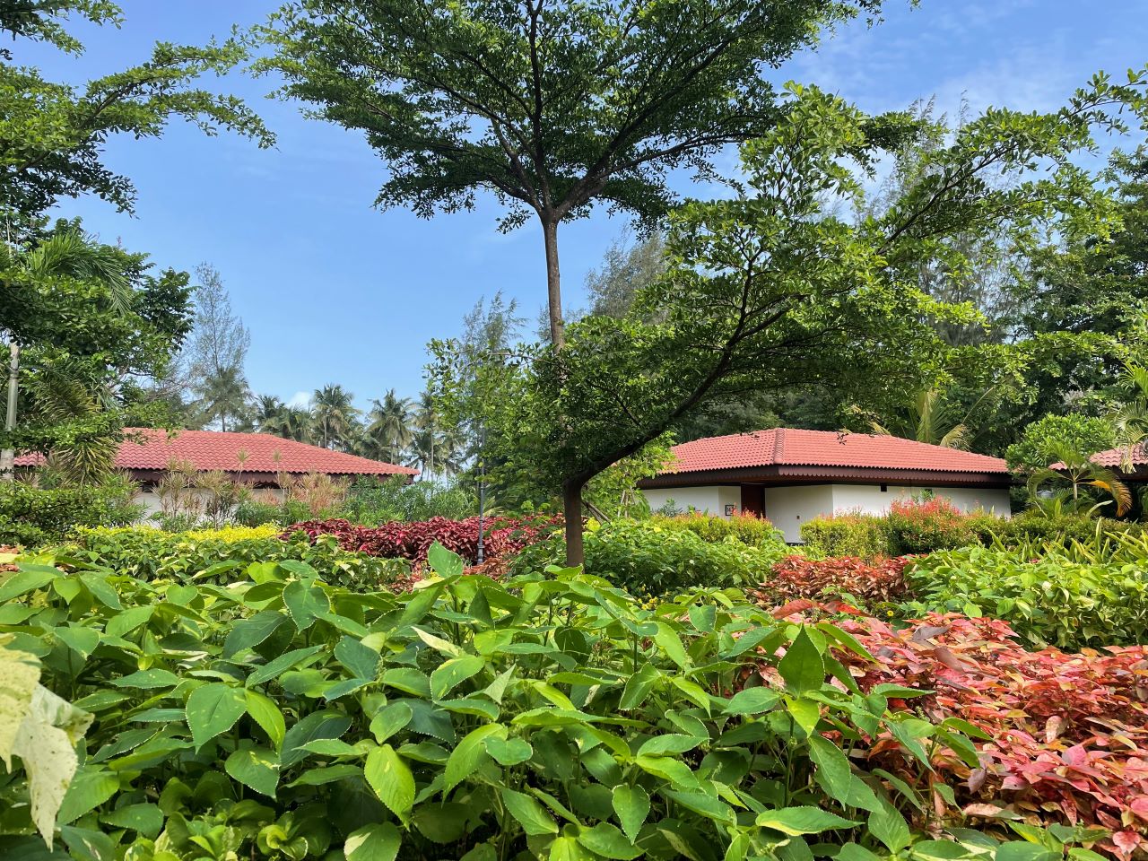 Gamyam Retreats - Yoga and Ayurveda Wellness Resorts in India