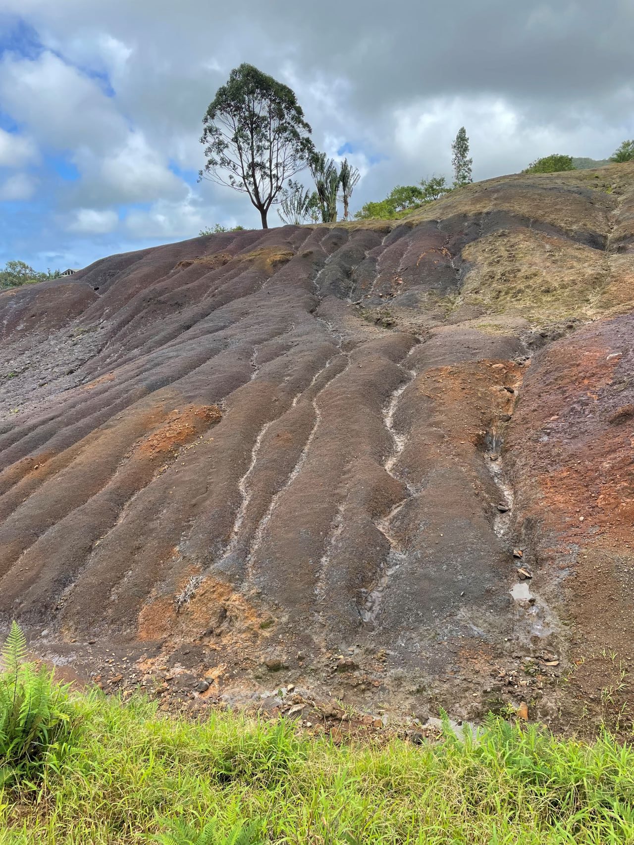 Ten experiences and top things to do in Mauritius