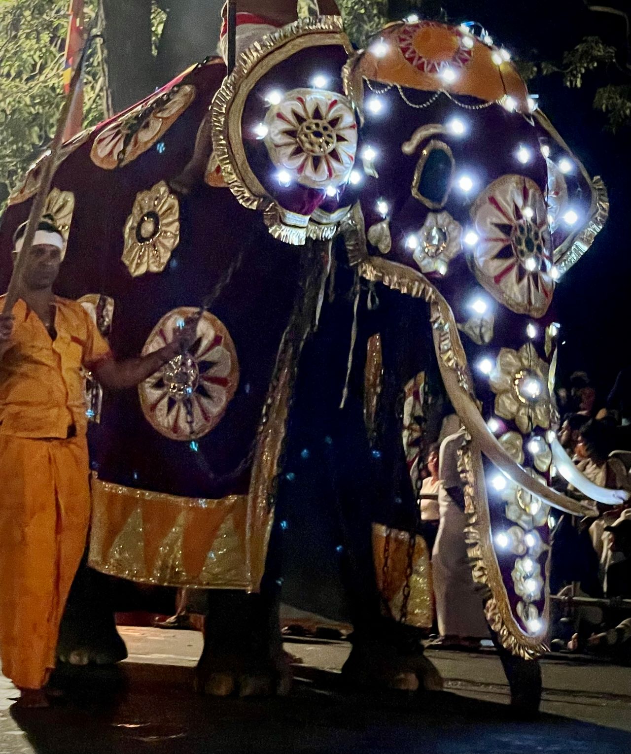Kandy Esala Perahera - Festival of the Sacred Tooth Relic