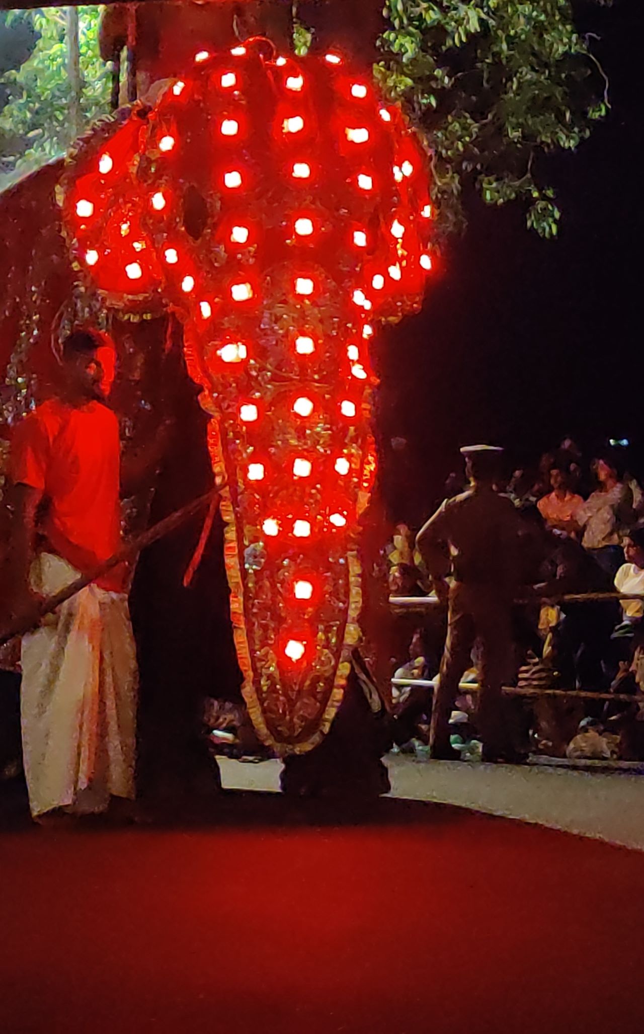 Kandy Esala Perahera - Festival of the Sacred Tooth Relic