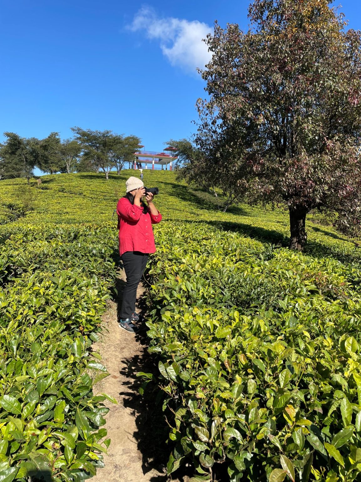 Tourist places in Champawat - Places to visit in Champawat