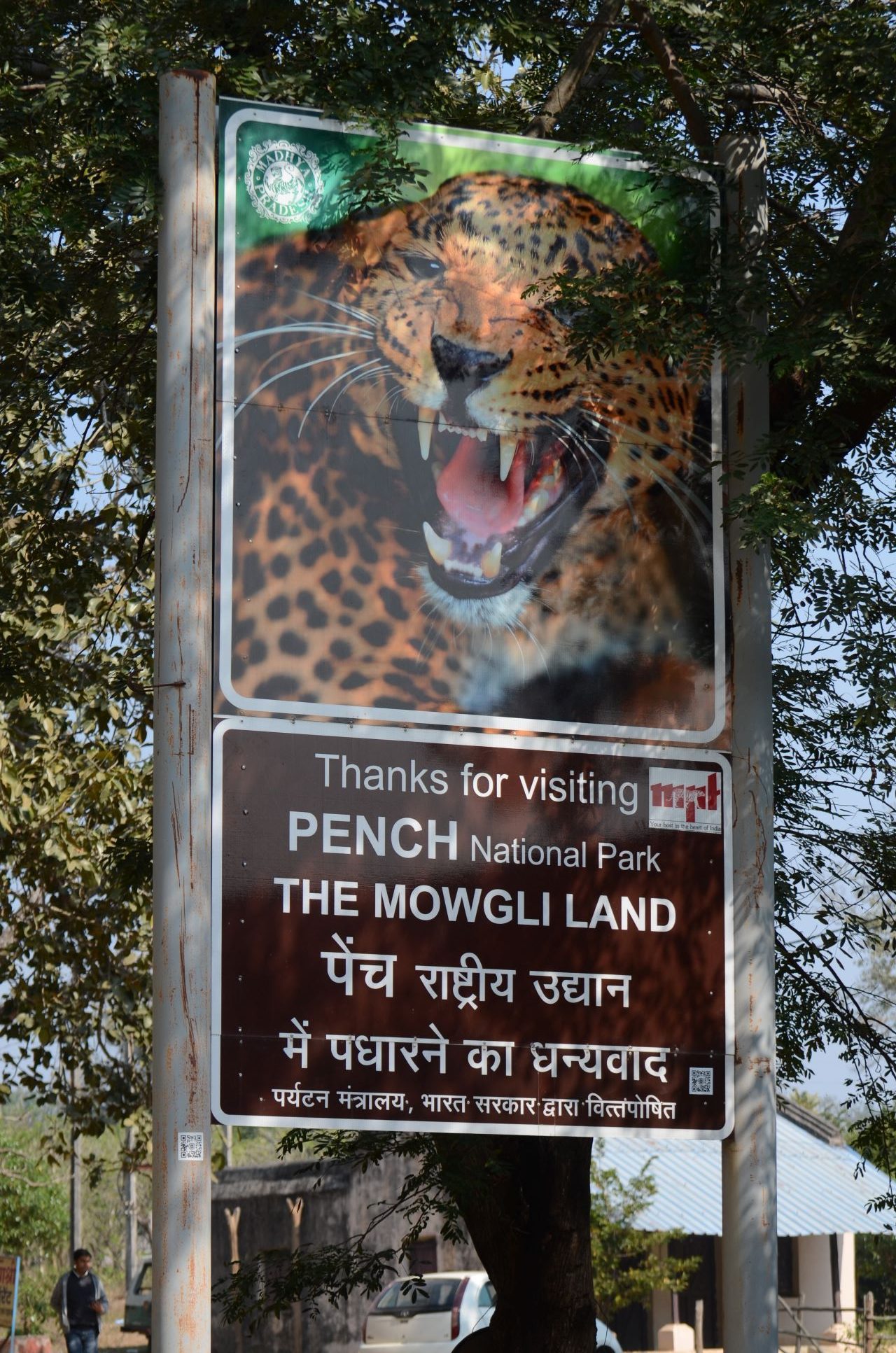 Travel Guide to Pench National Park and Pench Tiger Reserve