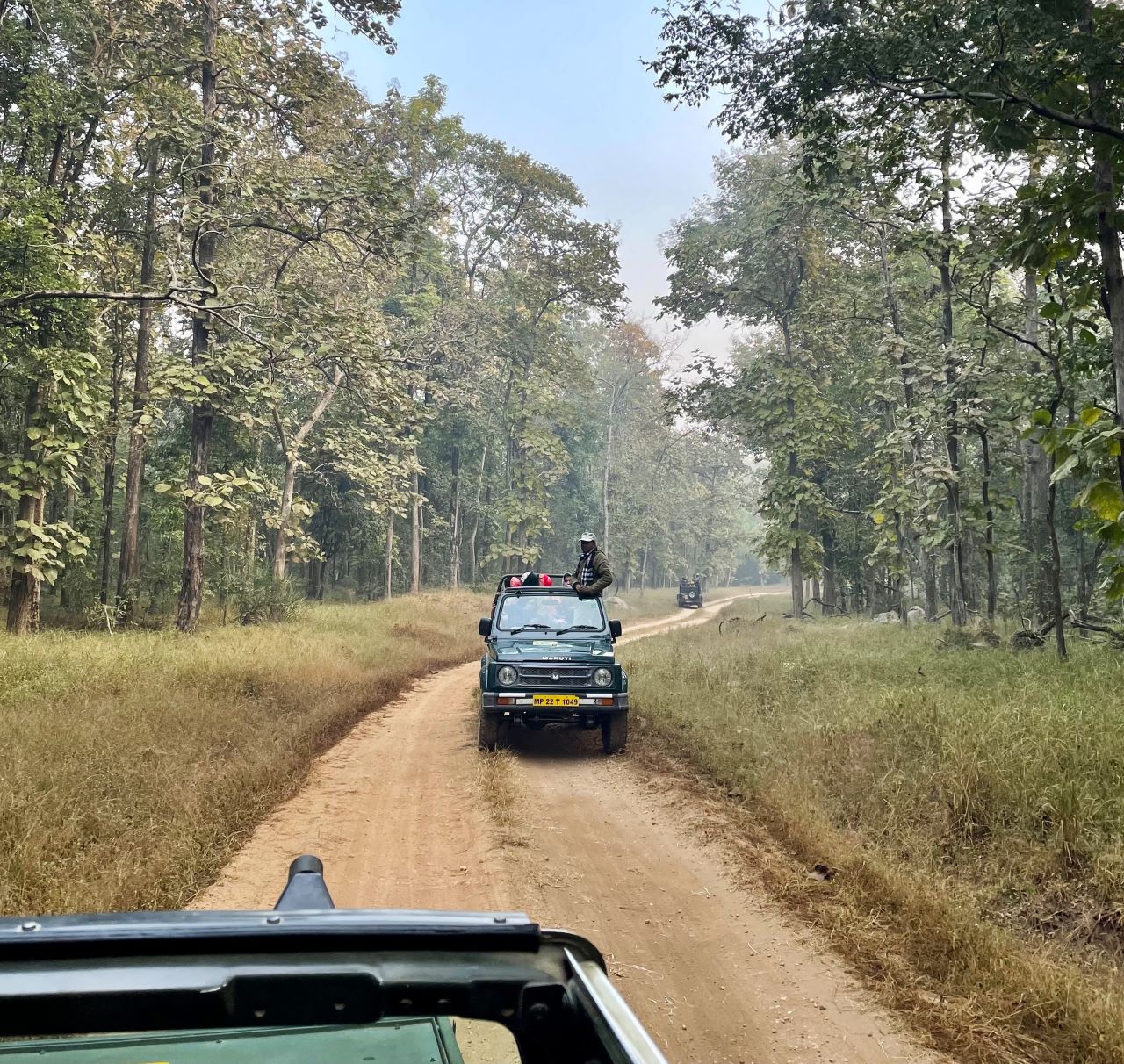 Travel Guide to Pench National Park and Pench Tiger Reserve