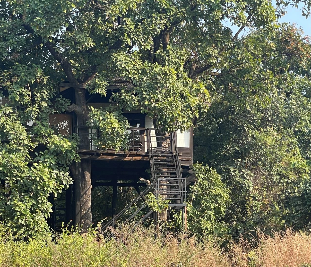 Award winning Pench Tree Lodge - Pugdundee Safaris