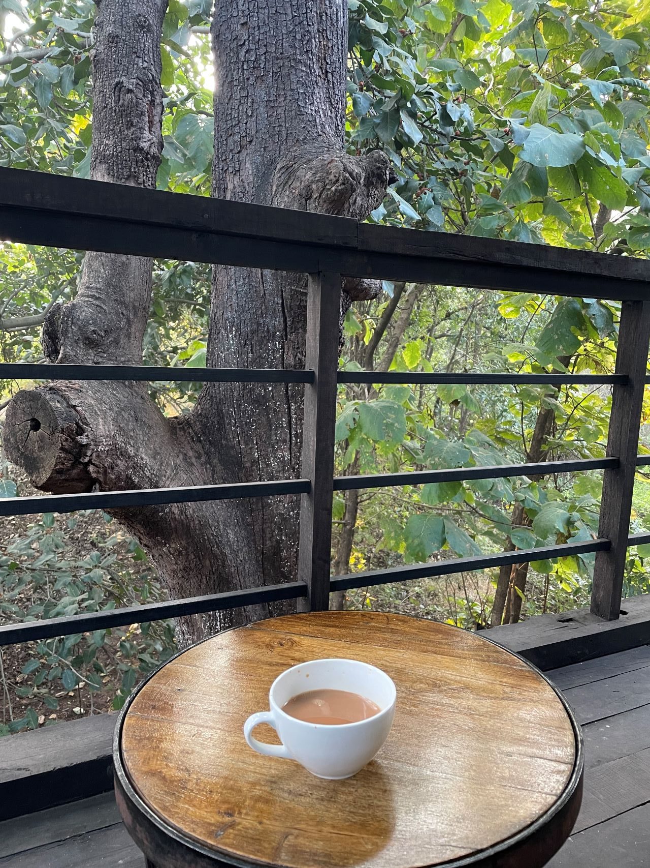 Award winning Pench Tree Lodge - Pugdundee Safaris