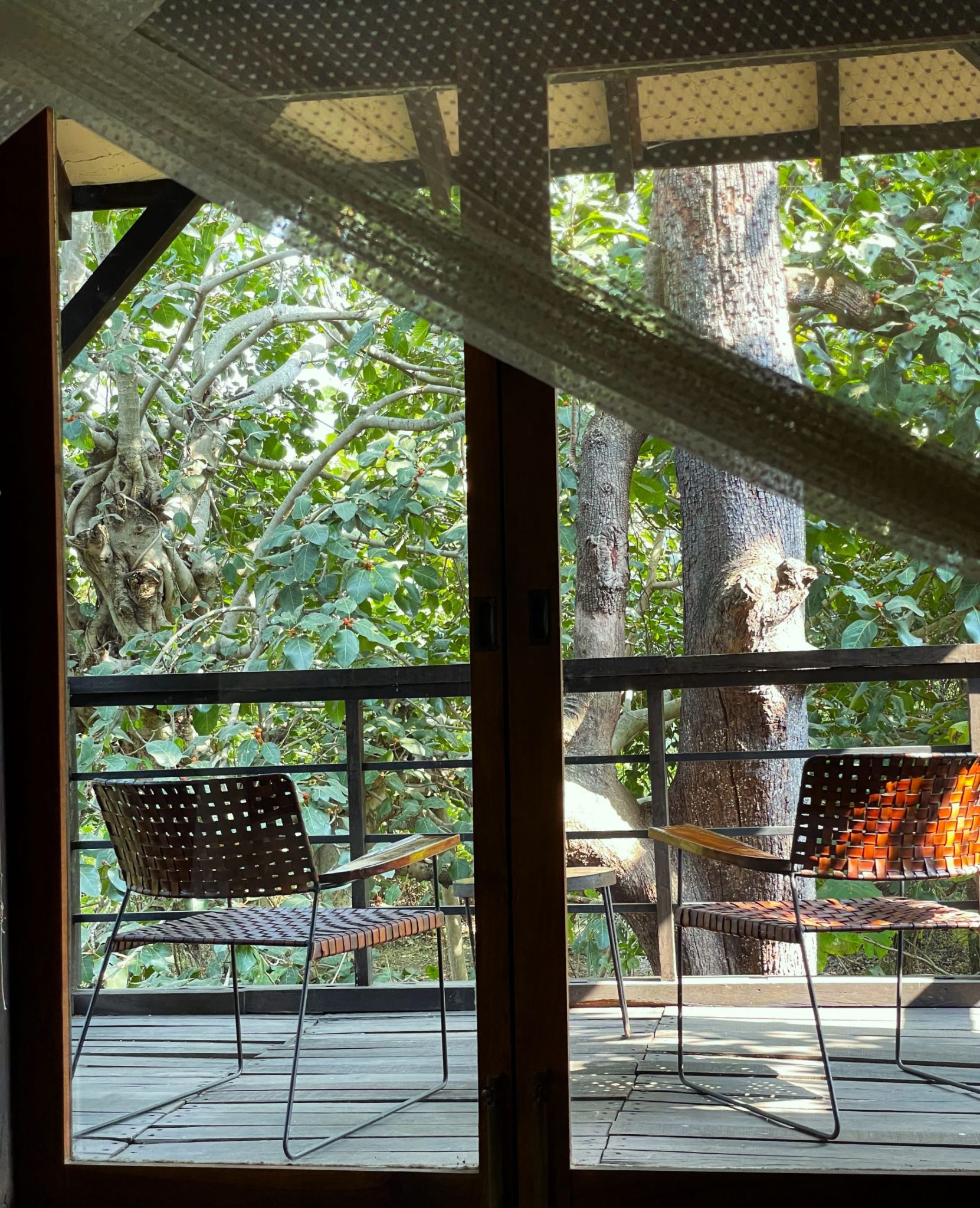 Award winning Pench Tree Lodge - Pugdundee Safaris