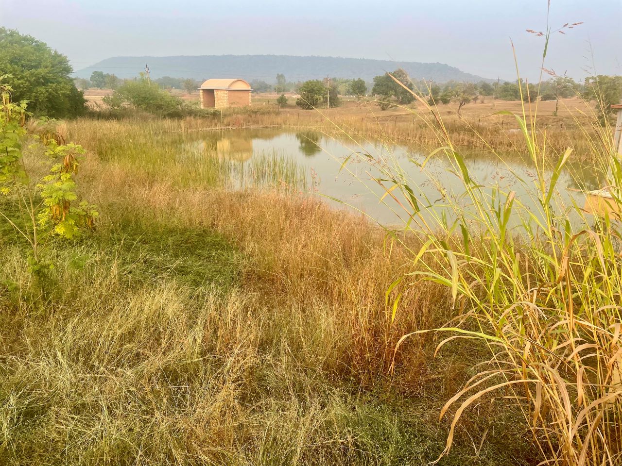 Waghoba Eco Lodge - Sustainable safari lodges in Tadoba