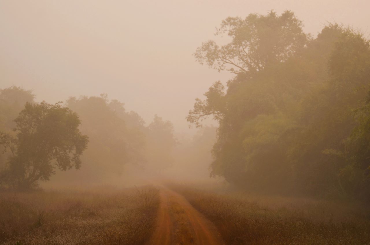 Tadoba National Park - Tadoba Andharai Tiger Reserve Guide