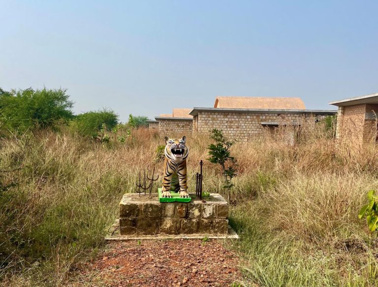 Tadoba National Park - Tadoba Andharai Tiger Reserve Guide